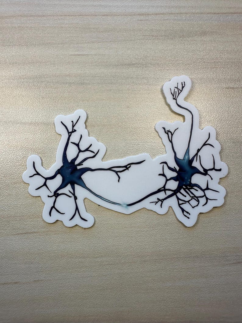 Neuron Sticker, Synapse Between Neurons, Neurology Gift, Neuroscience ...