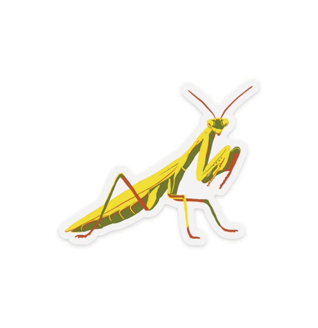 Praying Mantis Sticker, Entomology Sticker, Insect Sticker, Bug Sticker ...