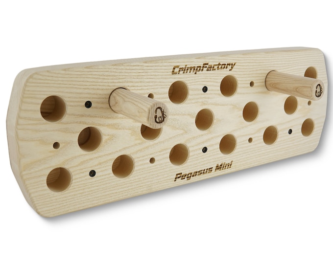Pegboard PEGASUS Mini Training Board Calisthenics Fingerboard Pull-up ...