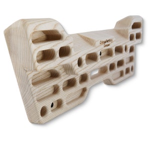 Hangboard SET "crimpfactory" Catalyst & Crimppimp, Beastmaker Zlagboard ...