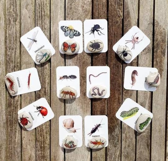 Minibeast Stones Minibeast Story Stones Learning Teaching | Etsy