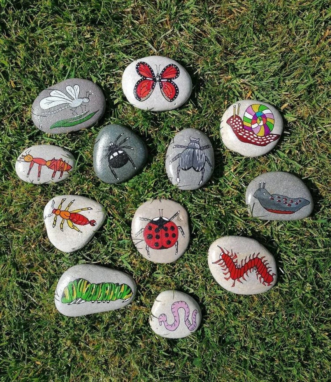 Minibeast Stones Minibeast Story Stones Learning Tool | Etsy