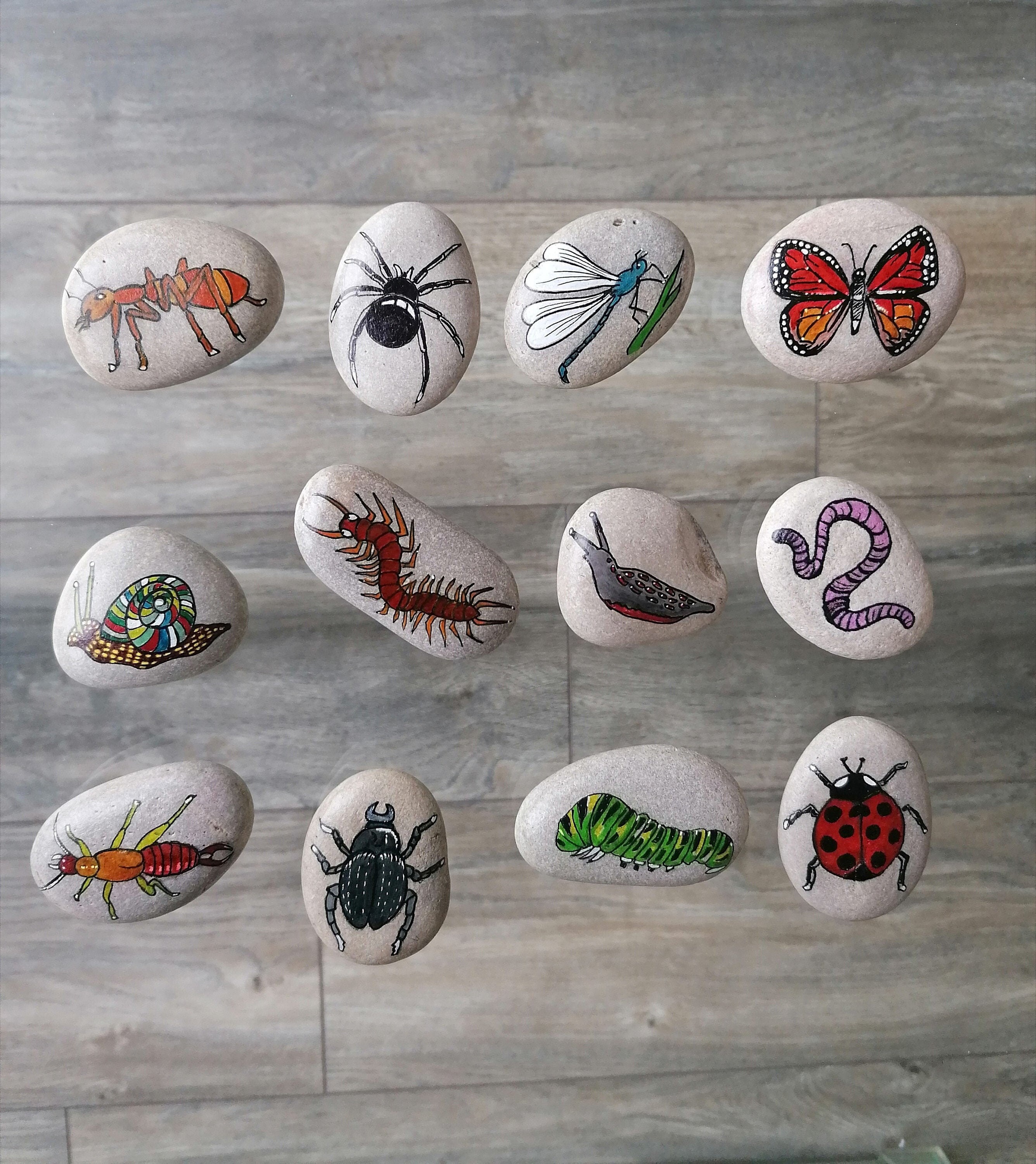 Minibeast Stones Minibeast Story Stones Resource Bugs | Etsy Ireland