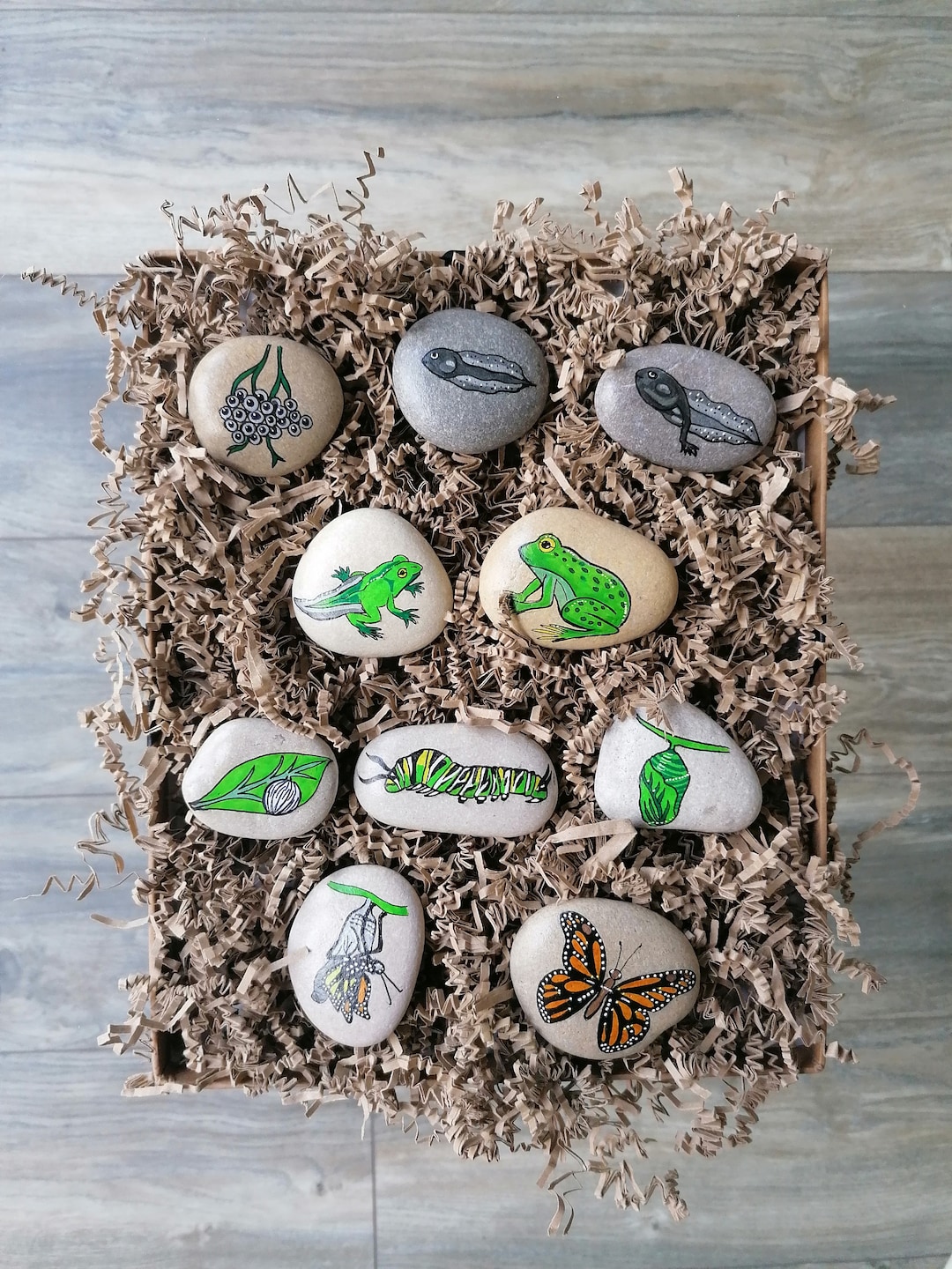 Life Cycle Stones - Frog Life Cycle - Butterfly Life Cycle - Life Cycle ...