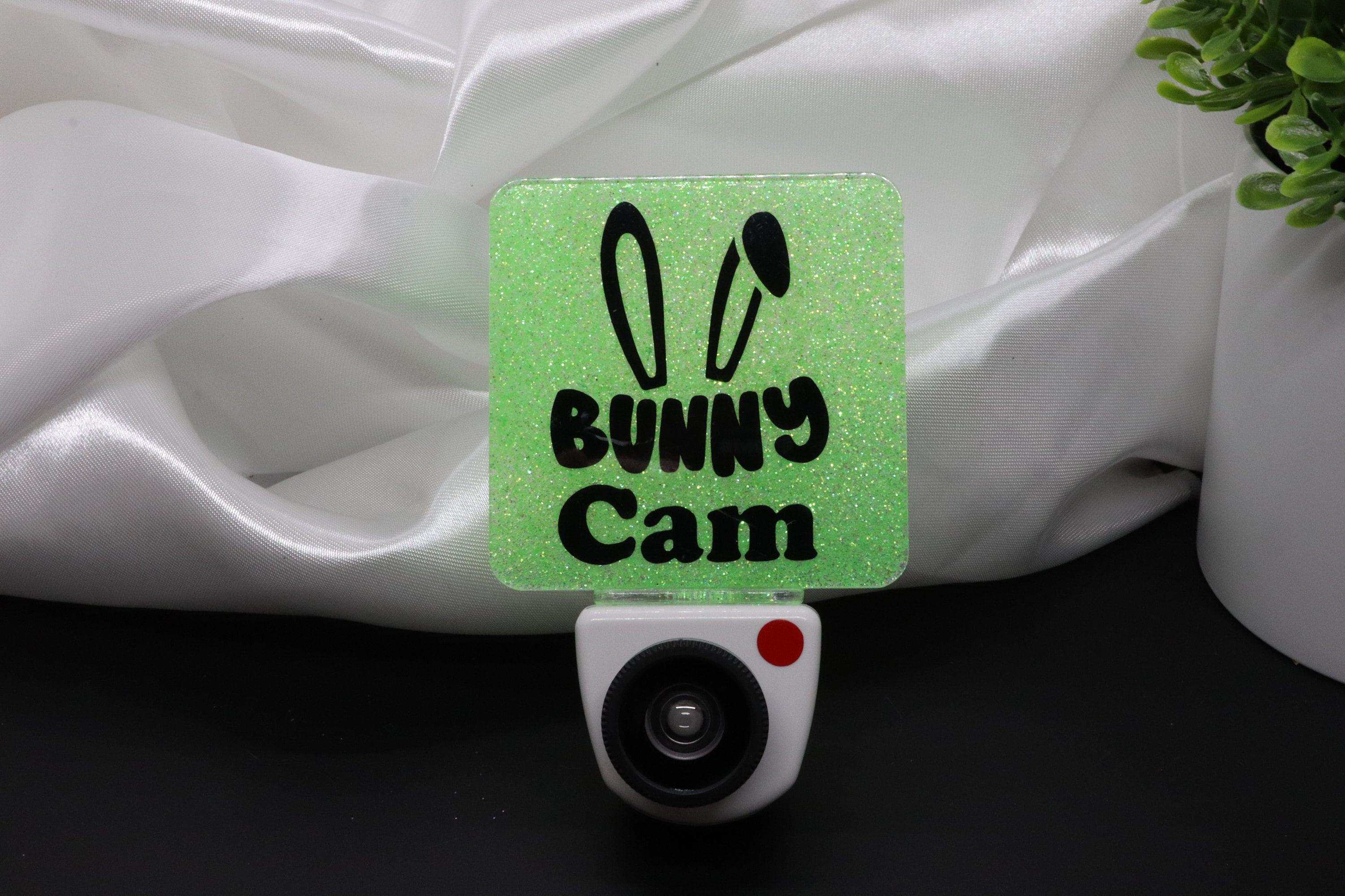 Easter Bunny Cam | Custom Bunny Cam | Kid's Easter Gift | Nightlight - Etsy