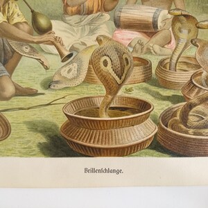 Vintage Illustration Print of Cobra Snake Charmers - 1920s Germany - Etsy