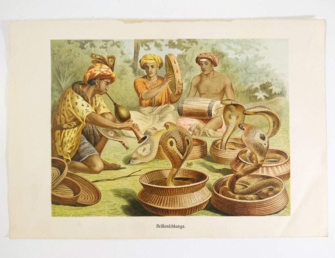 Vintage Illustration Print of Cobra Snake Charmers - 1920s Germany - Etsy
