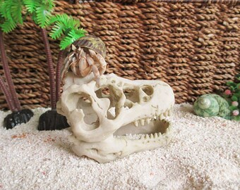 Skeleton Aquarium - Etsy