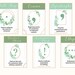 Punctuation Posters - Eucalyptus | Wall Art Print | Digital Download ...