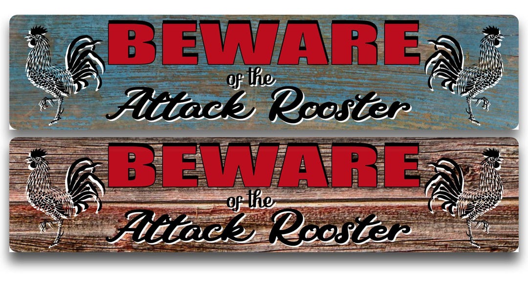 Beware of the Attack Rooster-you Choose Background Metal Sign 3"x12" or ...