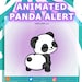 Animated Panda Emote-bongo Panda - Etsy