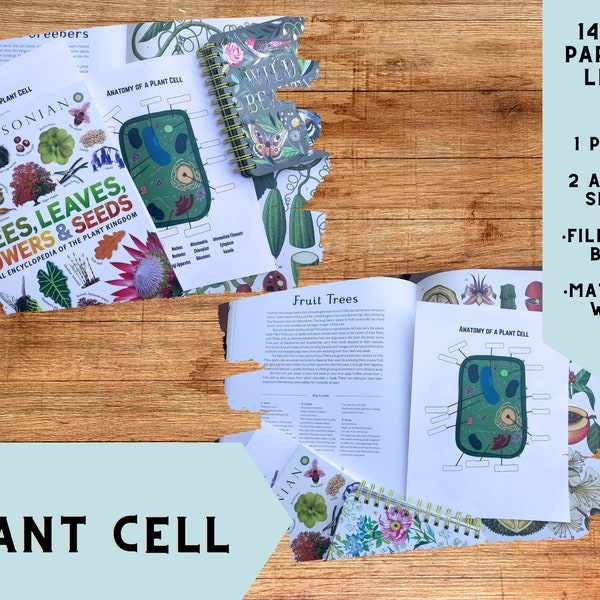 Plant Cell Poster - Etsy