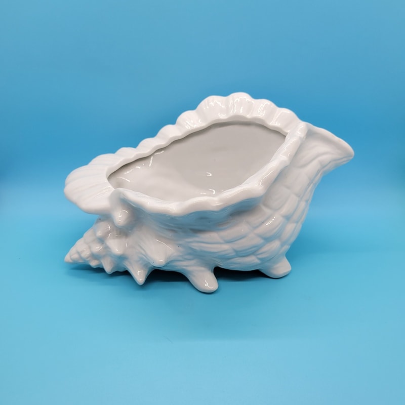 Conch Shell Planter - Etsy