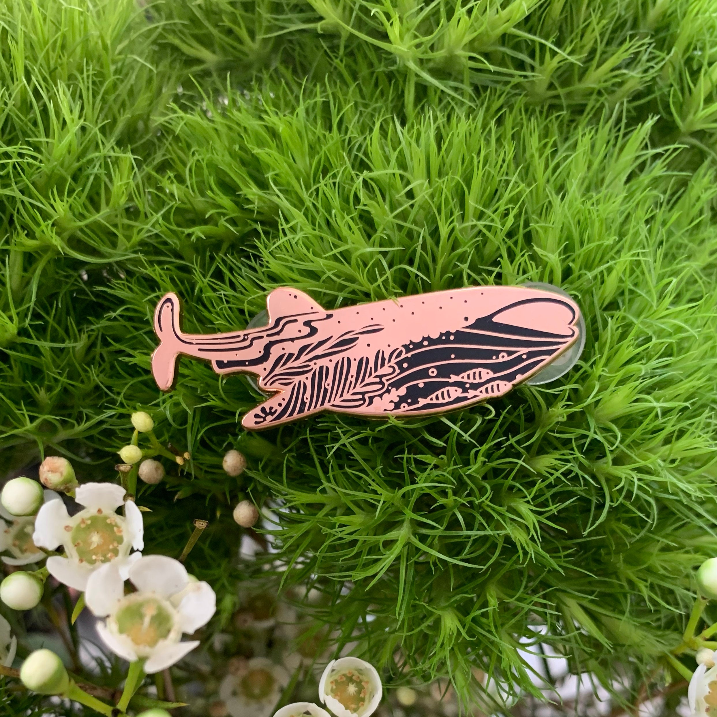 Rose Gold Whale Shark Enamel Pin | Seconds Sale - Etsy