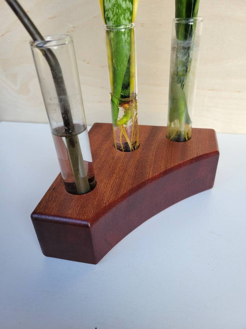 Plant Propagation Wood Holders - Etsy