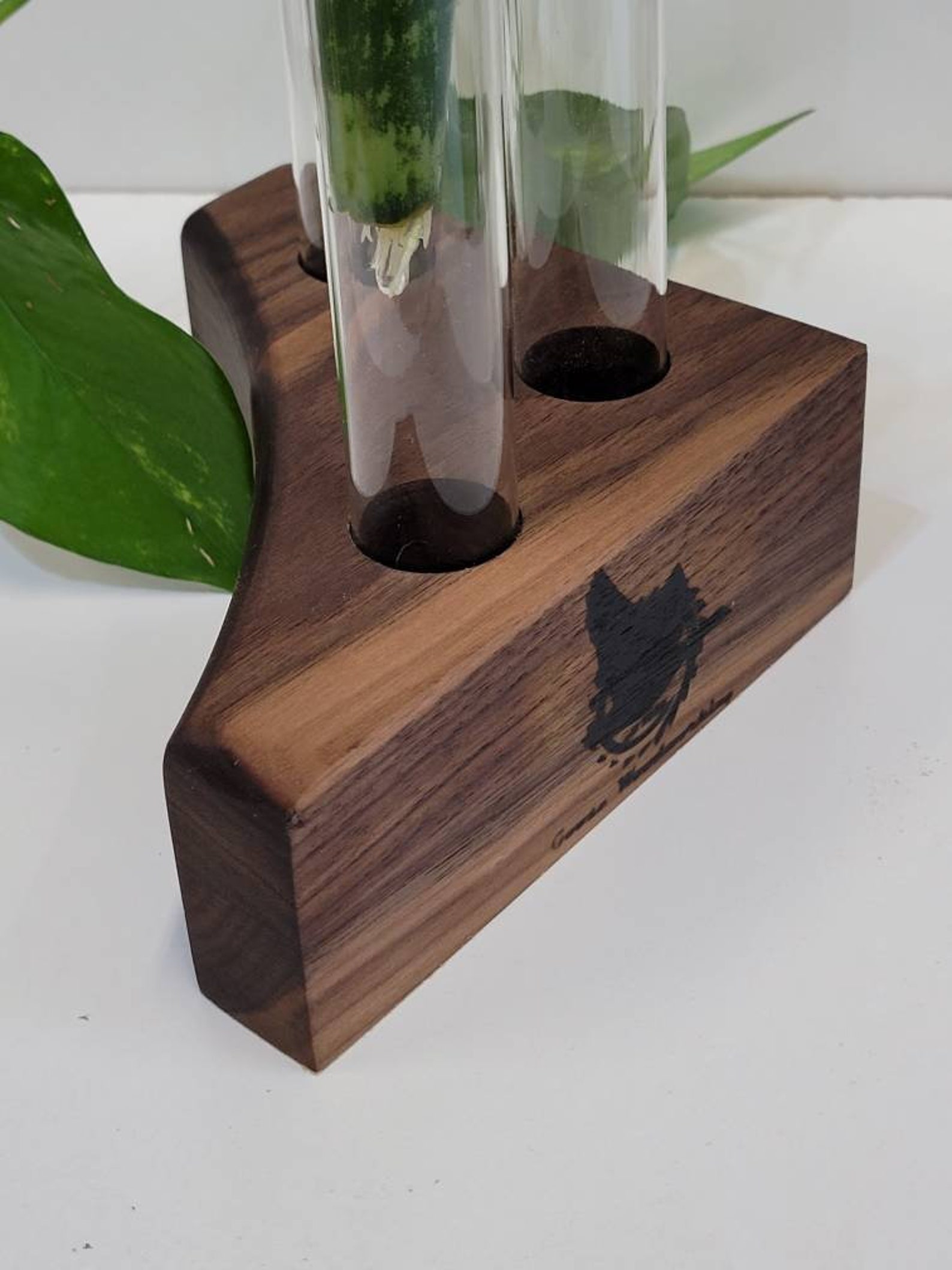 Plant Propagation Wood Holders - Etsy