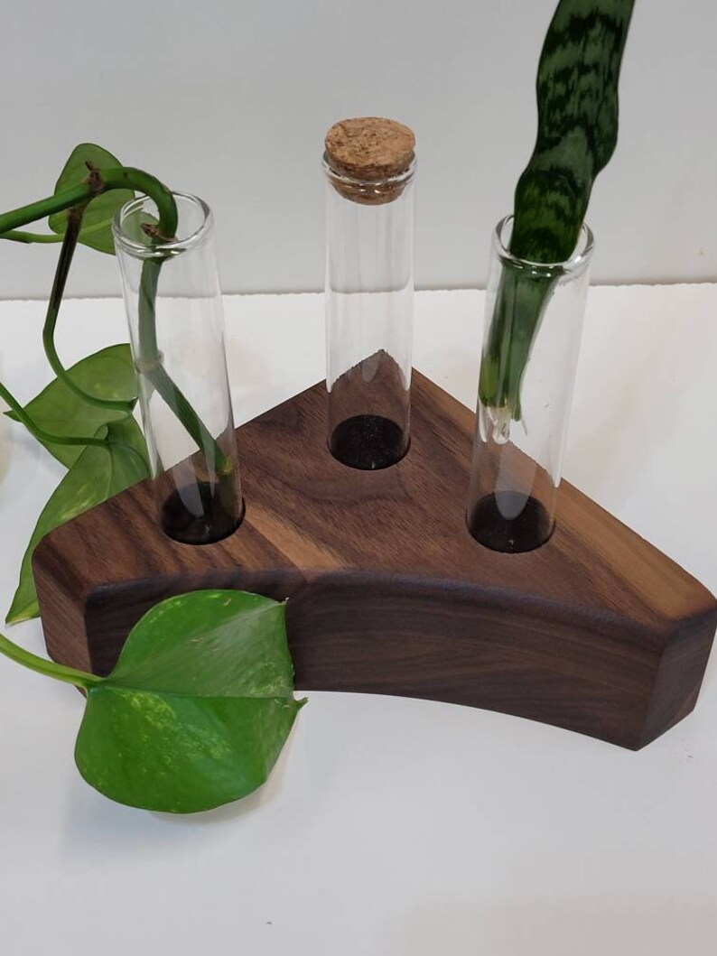 Plant Propagation Wood Holders - Etsy
