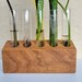Plant Propagation Wood Holders - Etsy