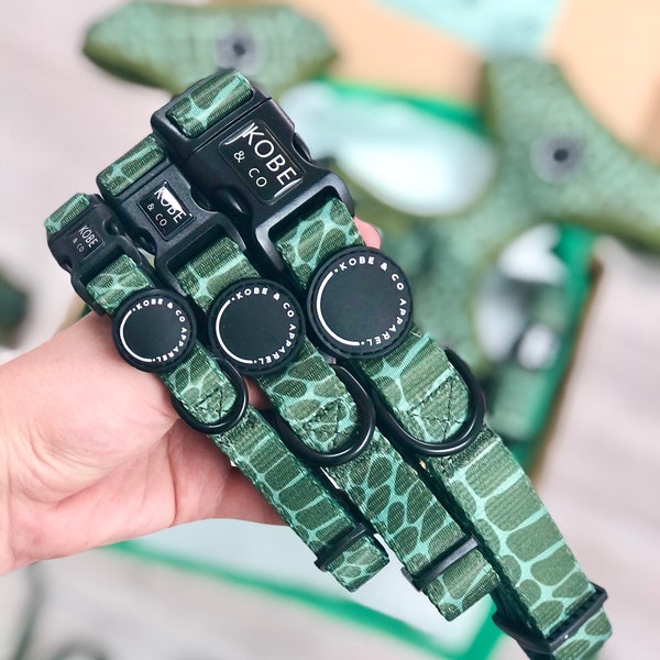 Rock Dog Collar - Etsy