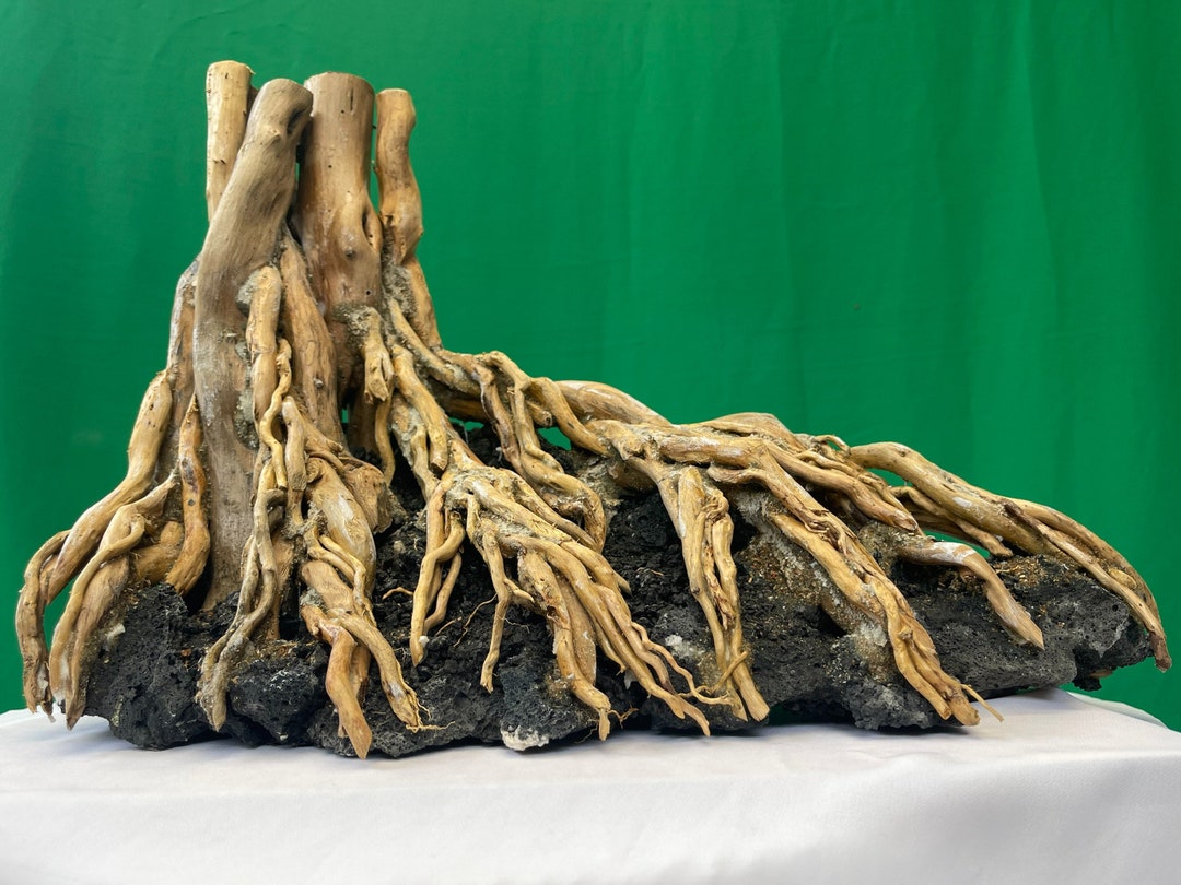 Aquarium Driftwood Stump Drift Wood Bonsai Tree Aquascaping Decor Fish ...