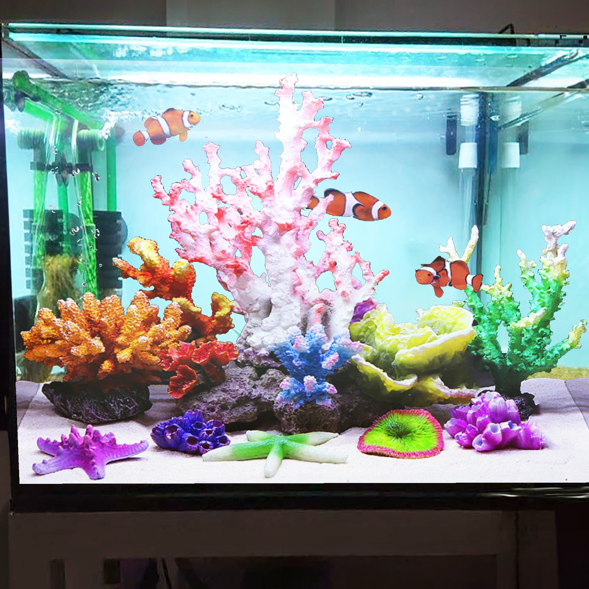 Freshwater Fish Tank Background