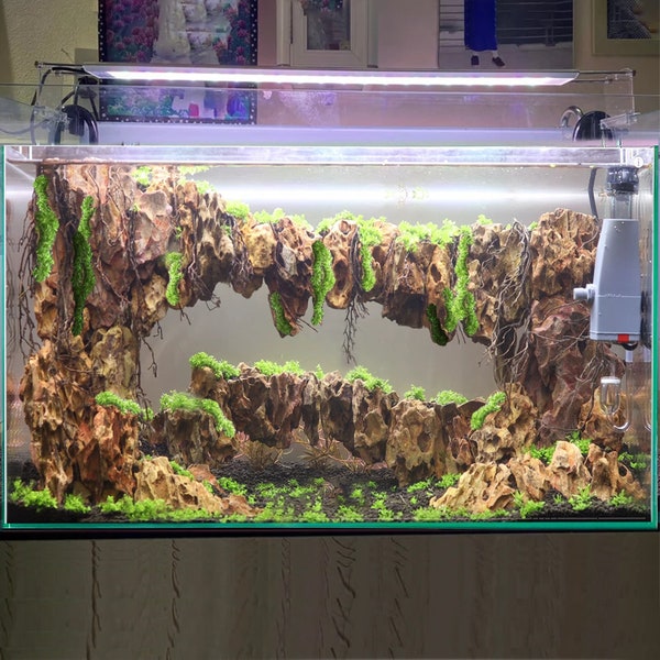 Dragonstone Aquarium - Etsy