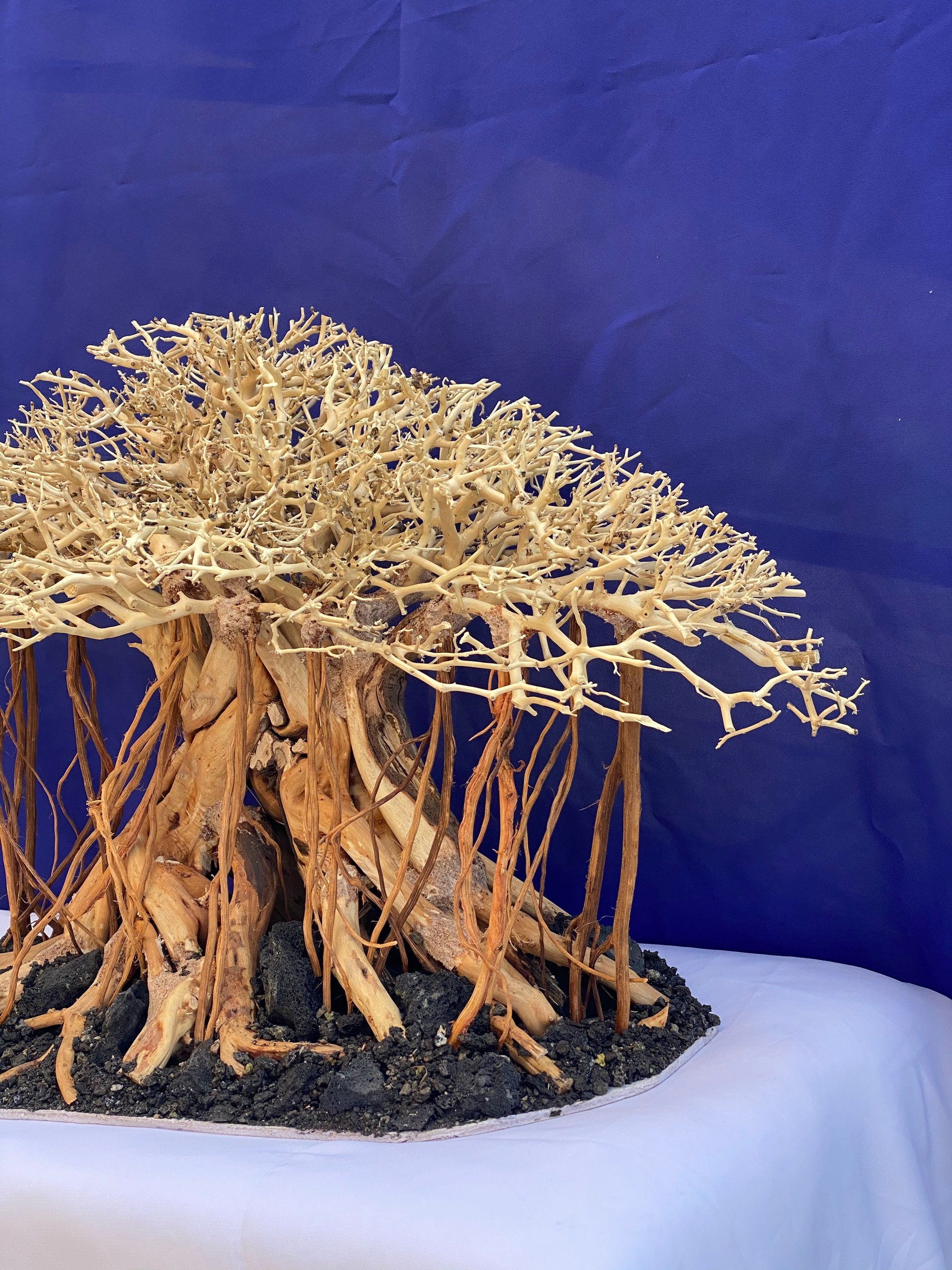 Aquarium driftwood drift wood aquarium aquascape aquarium | Etsy