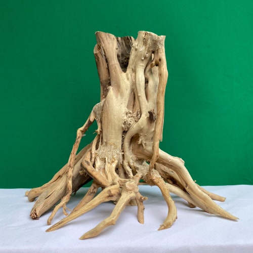 Aquarium Driftwood Tree Stump Bonsai Aquascaping Wood Fish - Etsy