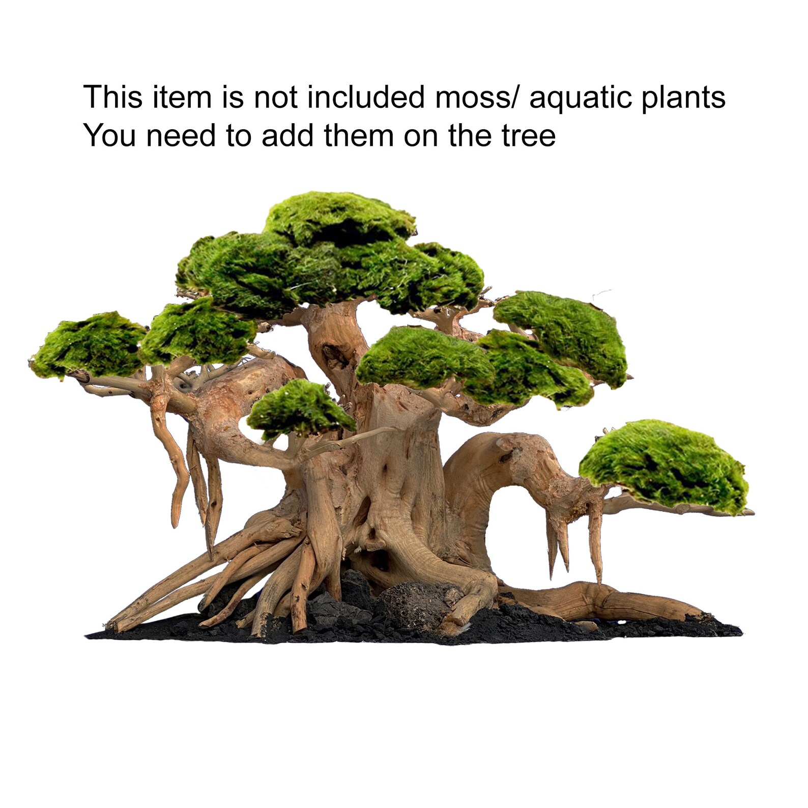 Aquarium Bonsai Tree Aquascape Driftwood for Fish Tank Decor | Etsy