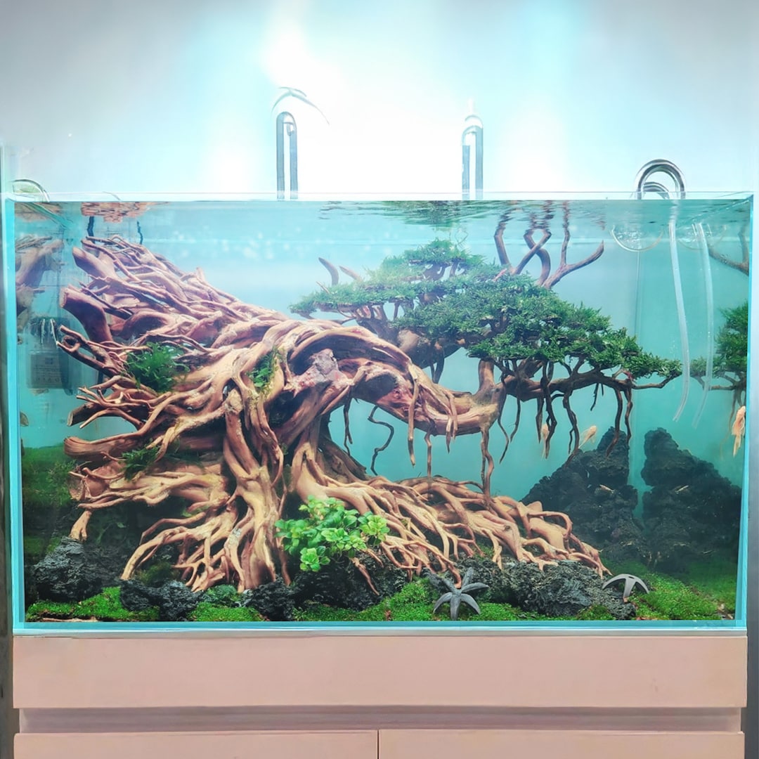 Driftwood Bonsai Tree Aquarium Plants Bozai Aquascape Decor Wood Fish ...
