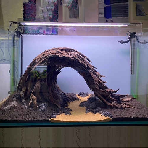 Aquarium Driftwood Centerpiece Bonsai Drift Wood Aquascape Etsy