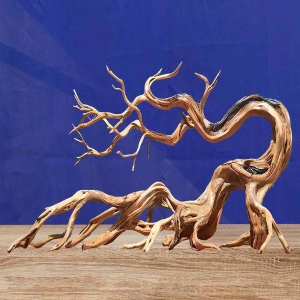 Driftwood Branch - Etsy