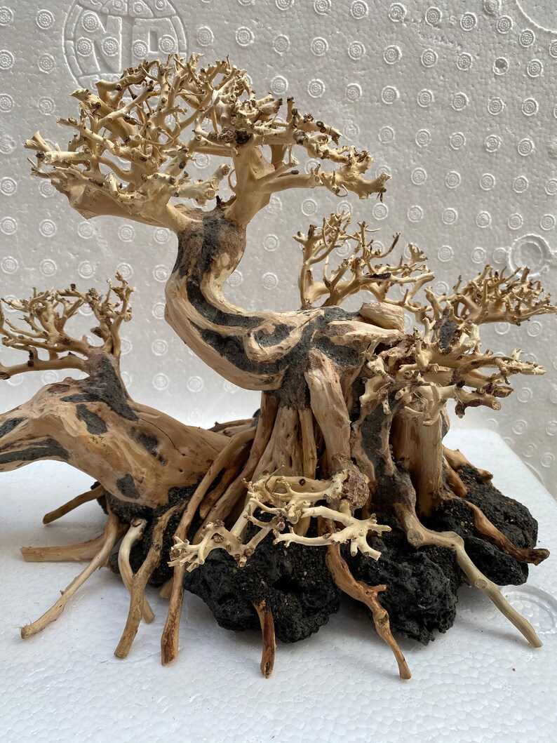 AQUARIUM BONSAI TREE Fish Tank Decor Aquarium Bonsai - Etsy