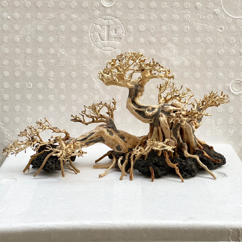 AQUARIUM BONSAI TREE Fish Tank Decor Aquarium Bonsai - Etsy