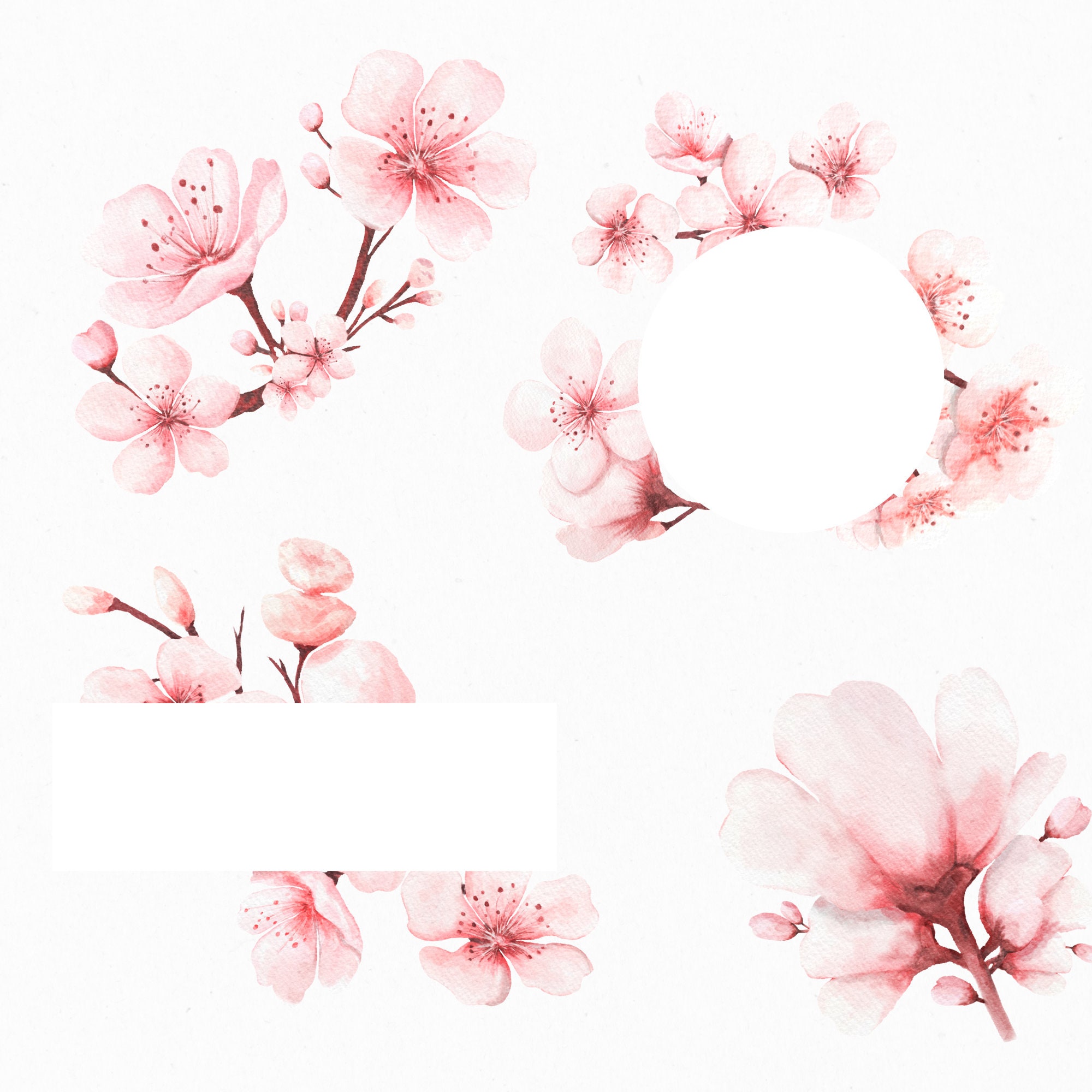 Watercolor Cherry Blossoms Clipart, Sakura Clipart, Floral Branches ...