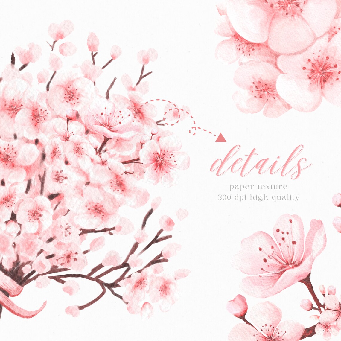 Watercolor Cherry Blossoms Clipart, Sakura Clipart, Floral Branches ...