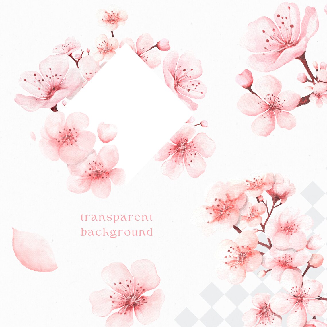 Watercolor Cherry Blossoms Clipart, Sakura Clipart, Floral Branches ...