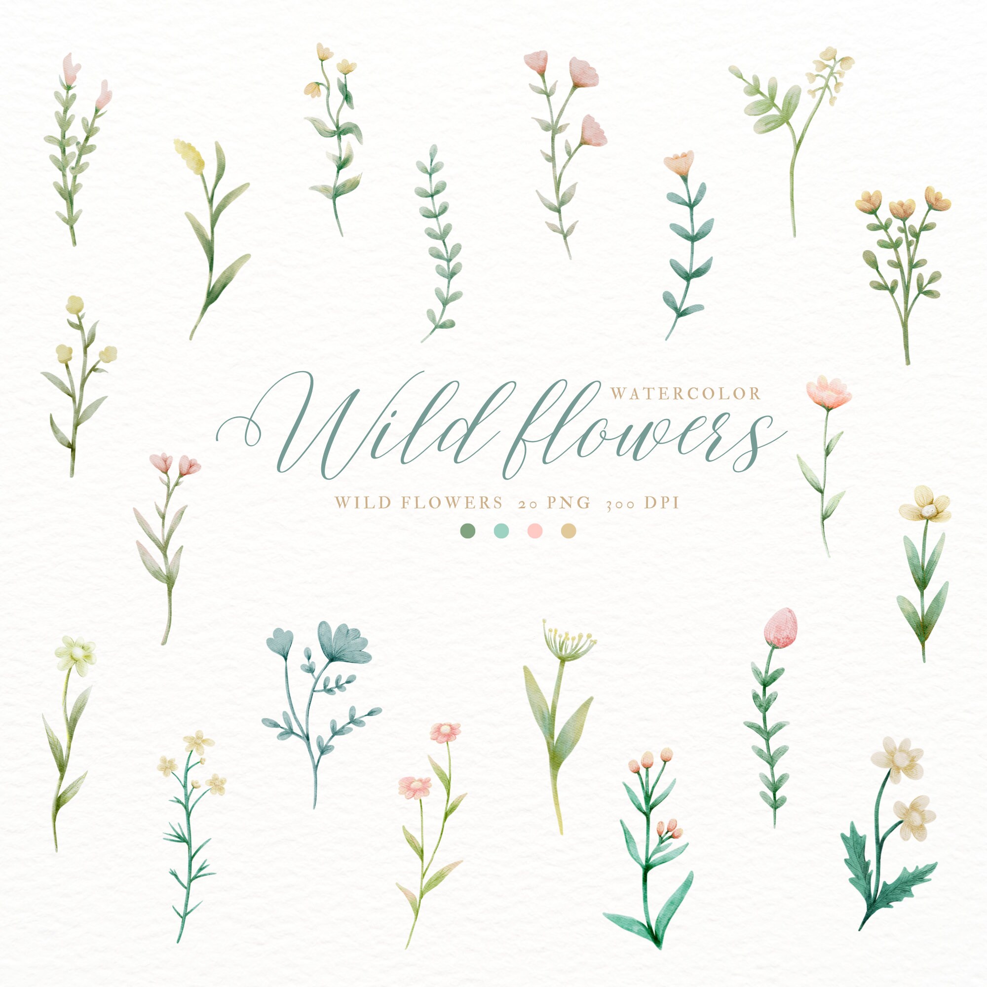 Wildflowers Clipart, Png Watercolor Flowers, Hand Drawn Flower, Floral ...