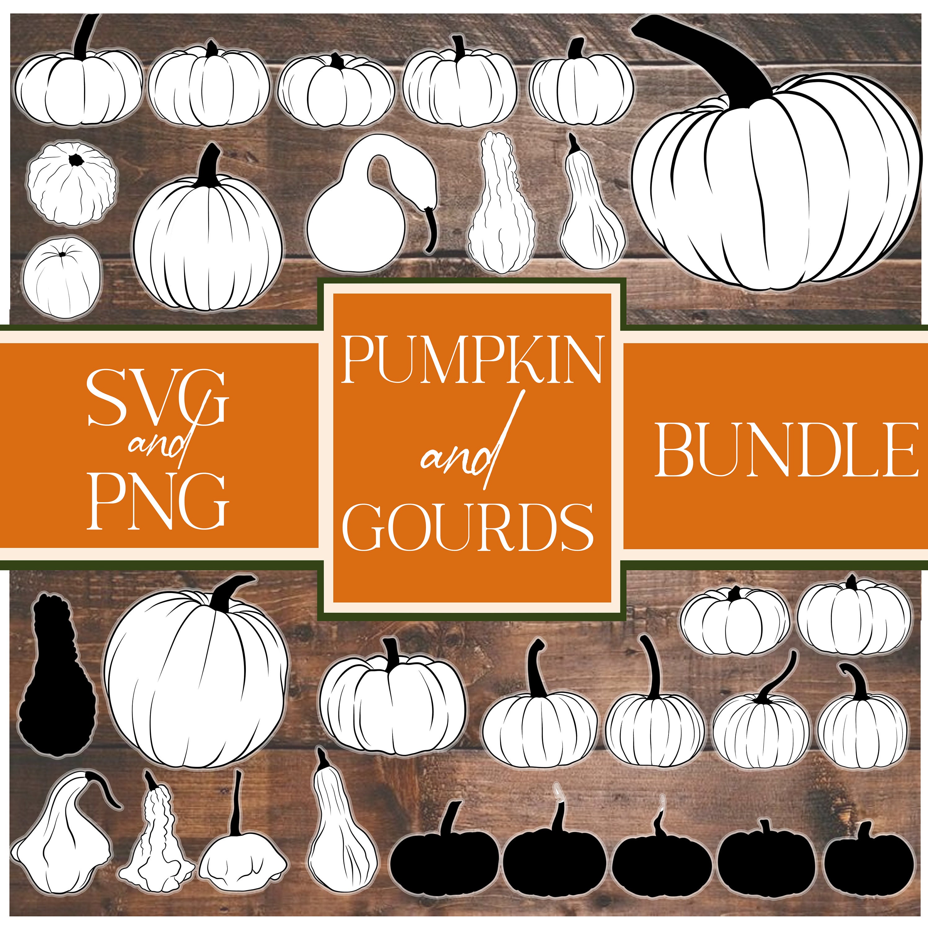 Gourd and Pumpkin SVG Bundle - Etsy
