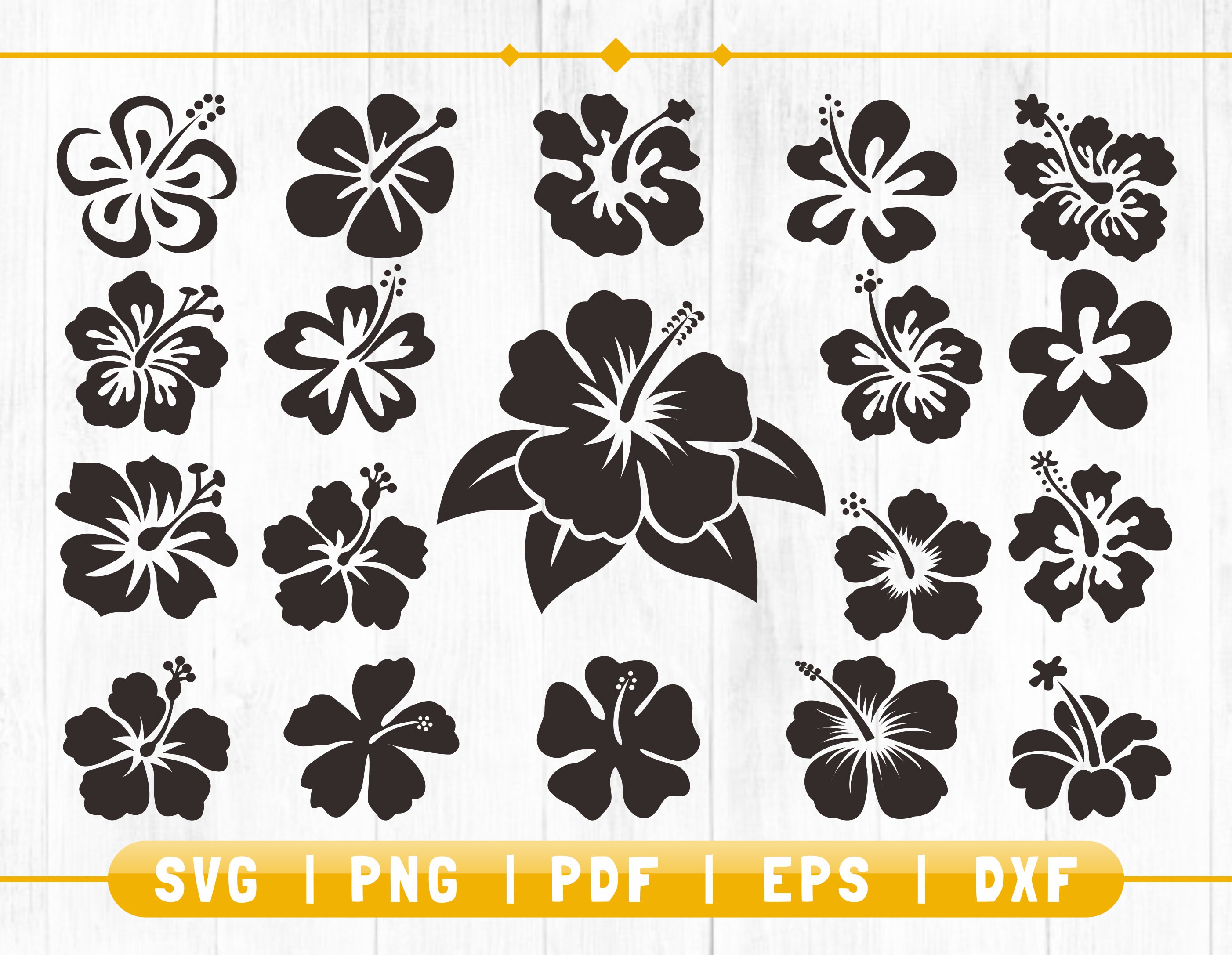 Hibiscus Svg Hawaii Flower Svg Hibiscus Flower Stencil Etsy Sweden
