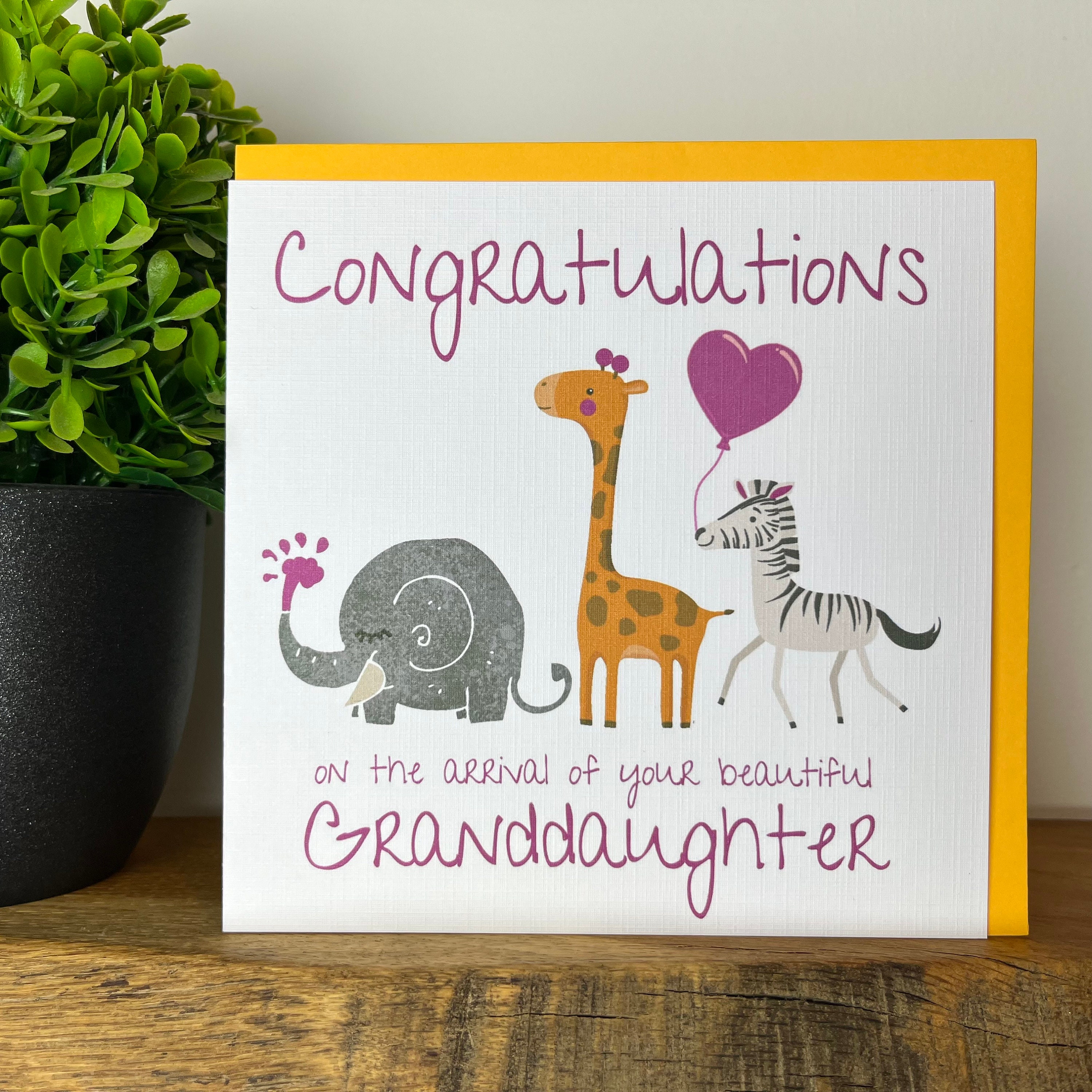 Congratulations On Your Granddaughter