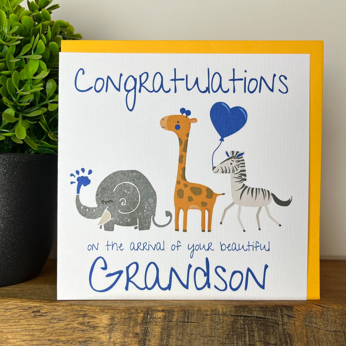 Congratulations on Your Grandson / You're a Grandmother / You're a ...