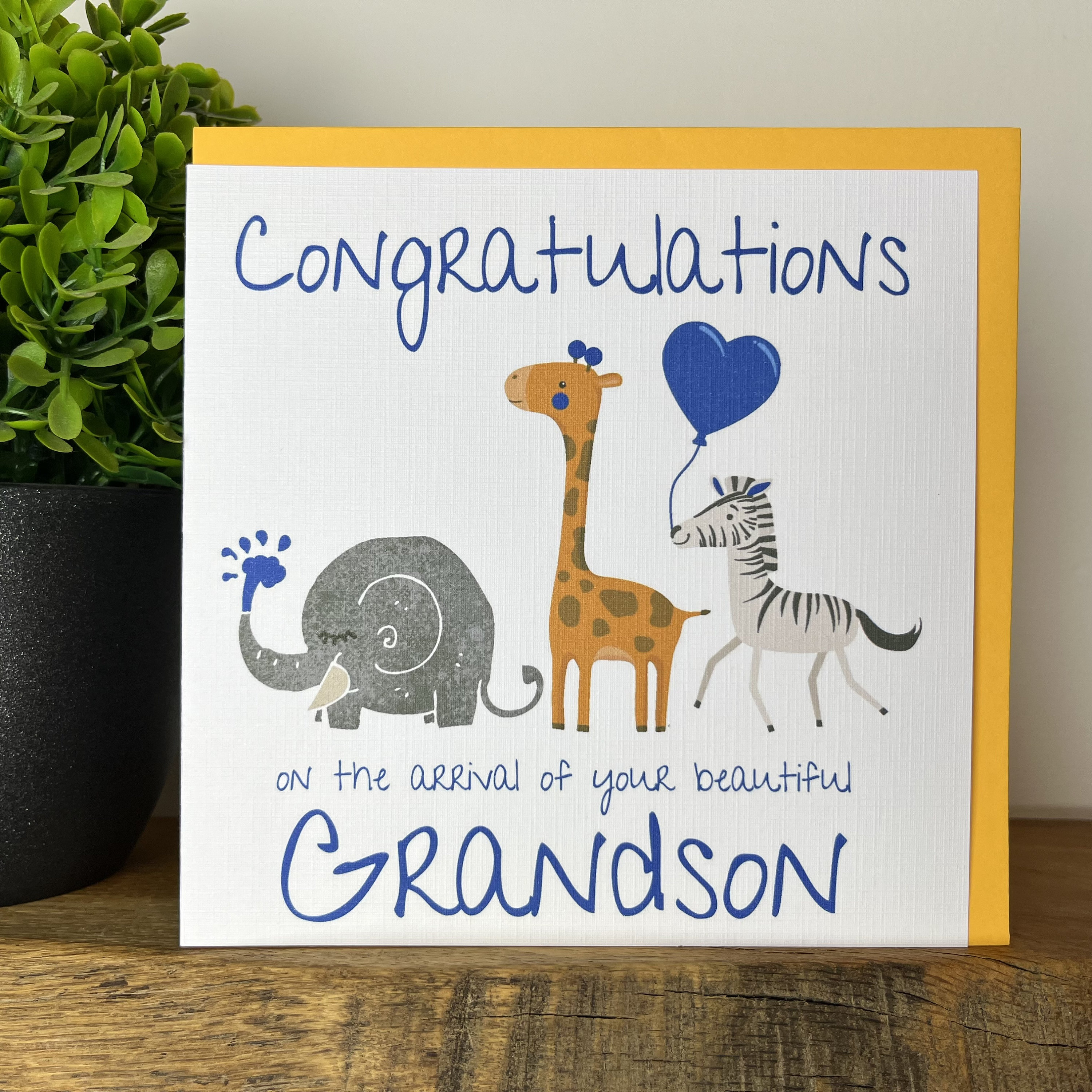 Congratulations on Your Grandson / You're a Grandmother / You're a ...