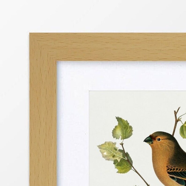 Oak Picture Frame Set Gallery Wall Frame Set of 9 Picture Frames in Oak ...