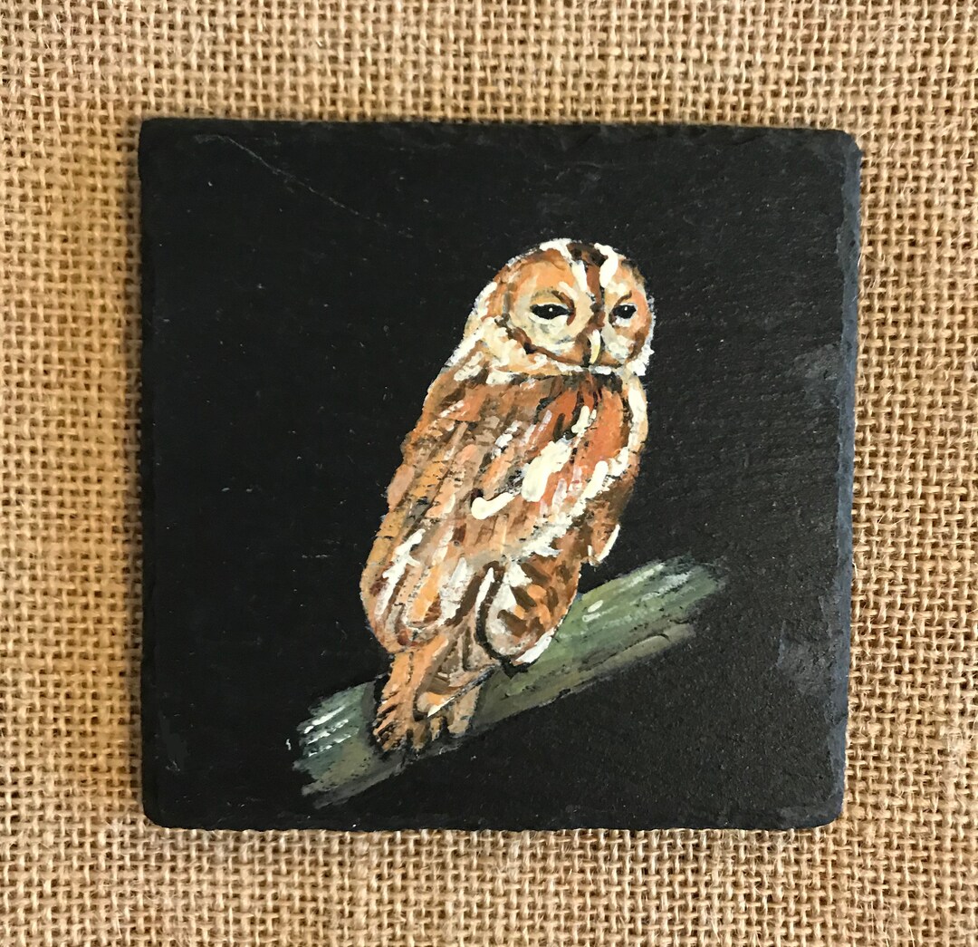 Tawny Owl Slate Coaster Hand Painted - Etsy