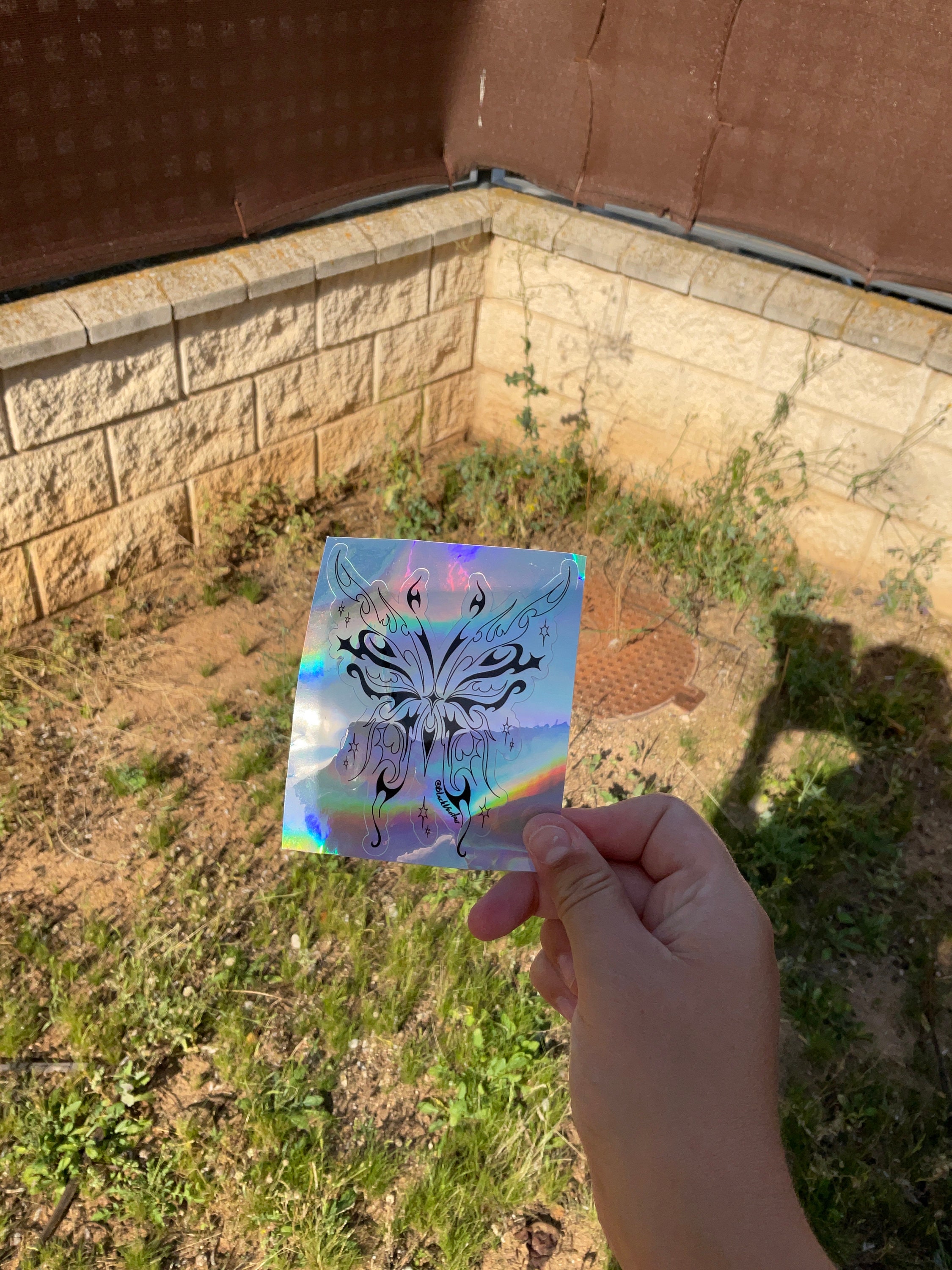 Holographic Buterfly Sticker for Butterfly Lover Gift for Best Friend ...