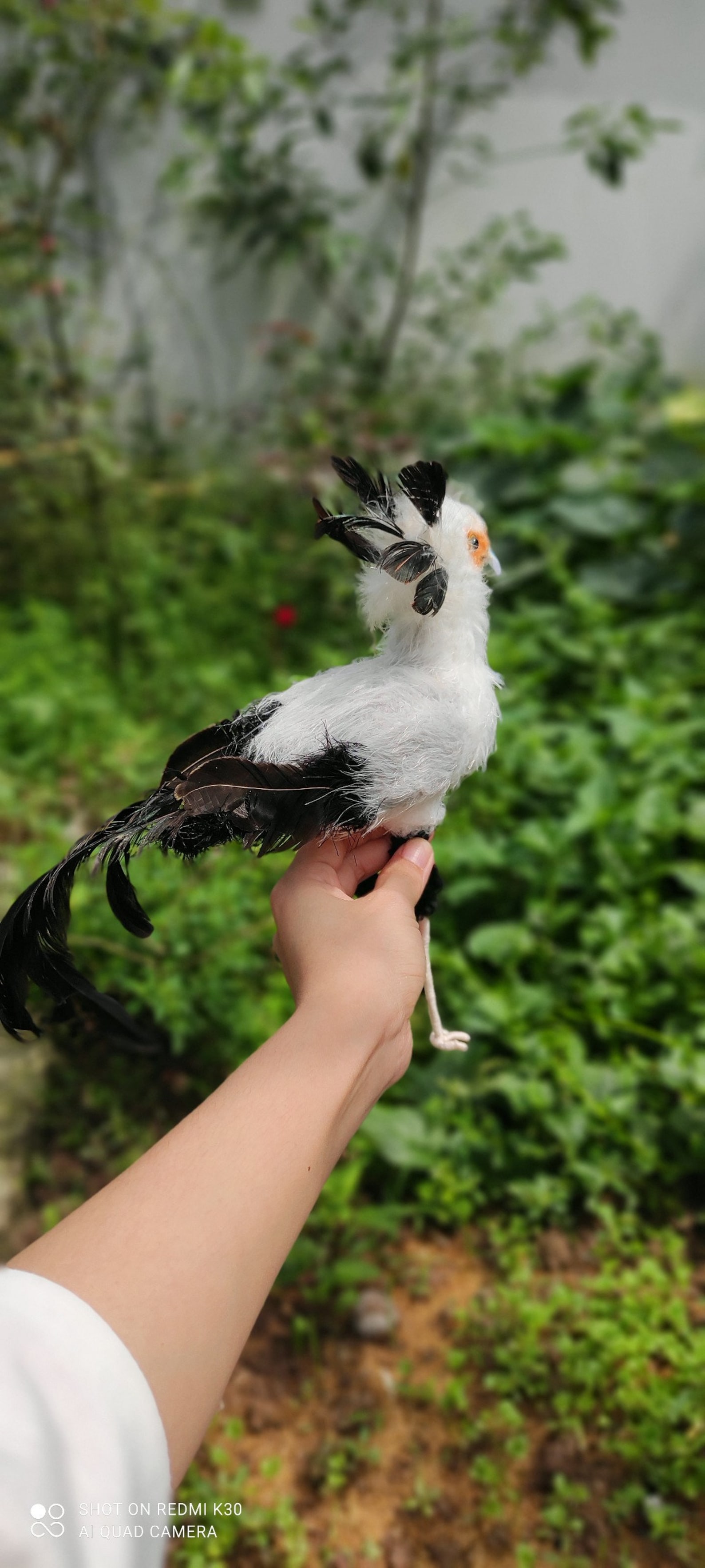 Crochet Secretary Bird Doll, Handmade Secretary Bird Doll, Amigurumi ...