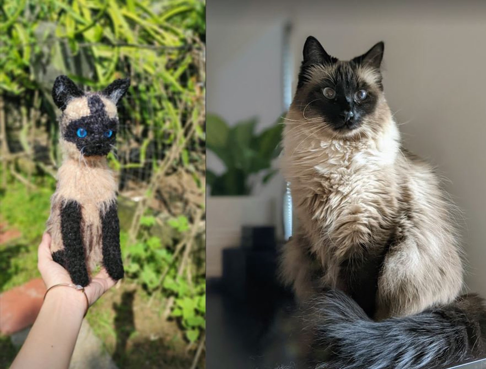 Custom Crochet Cat Custom Cat Plush Custom Stuffed Animal - Etsy