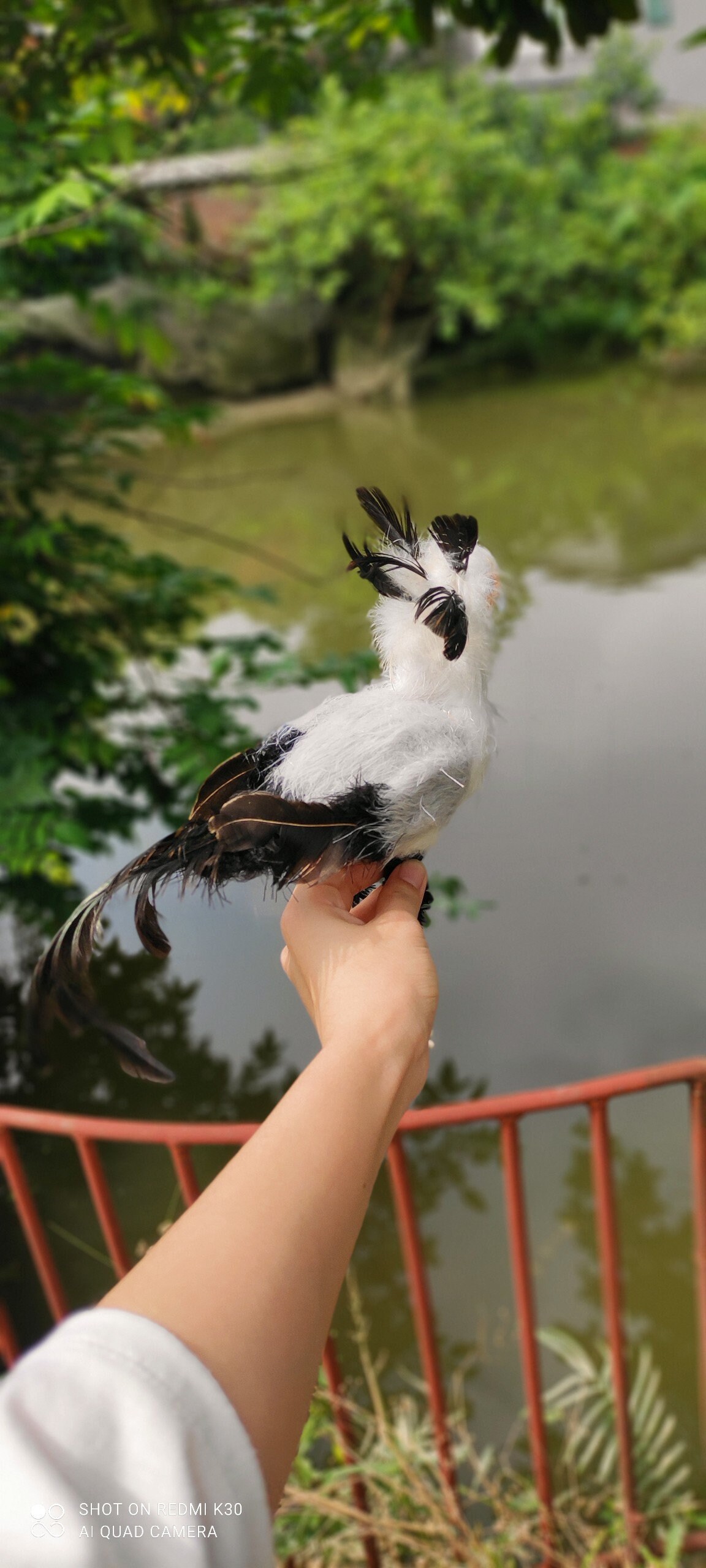Crochet Secretary Bird Doll, Handmade Secretary Bird Doll, Amigurumi ...