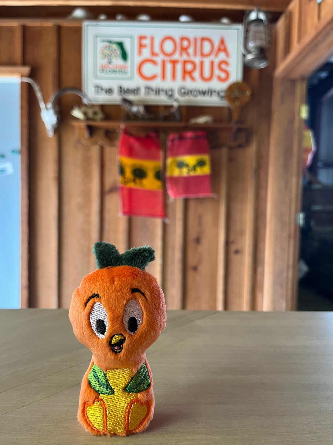 Florida Orange Bird Mini Plush—fresh From the Sunshine Tree Pavilion in ...